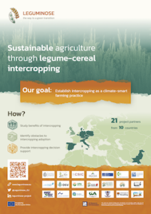 Resources - Leguminose