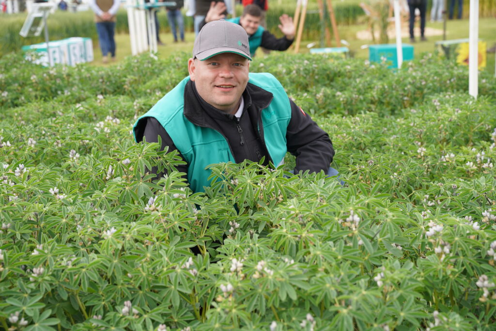 Intercropping in Germany: Protein-rich harvests